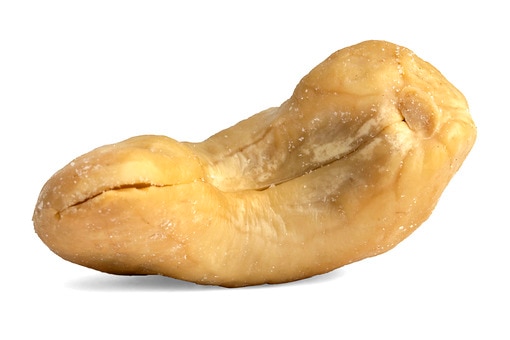 Roasted Cashews (Salted) - By the Pound - Nuts.com