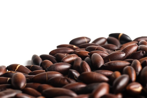 Roasted Baru Nuts (Unsalted)