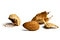 Raw Almonds (In Shell) - By the Pound - Nuts.com