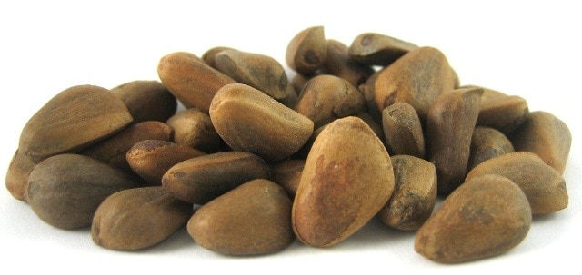 Raw Pine Nuts (In Shell) - By the Pound - Nuts.com