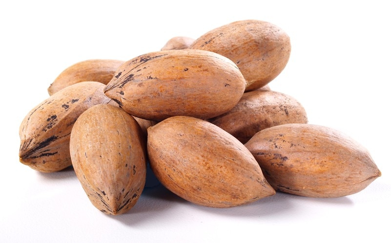 Paper-Shell Pecans - By the Pound - Nuts.com