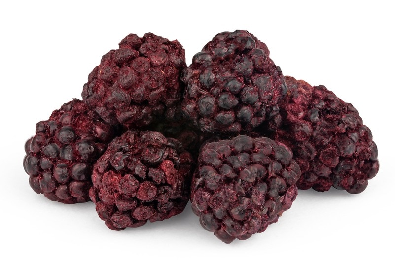 Freeze Dried Blackberries - Simply Blackberries - Nuts.com
