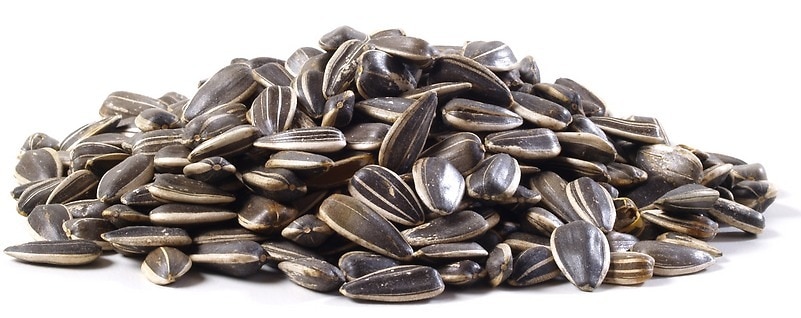 In Shell Roasted Sunflower Seeds (50% Less Salt) - Snacks - Nuts.com