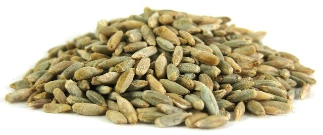 Rye — Grains — Cooking — Nuts.com