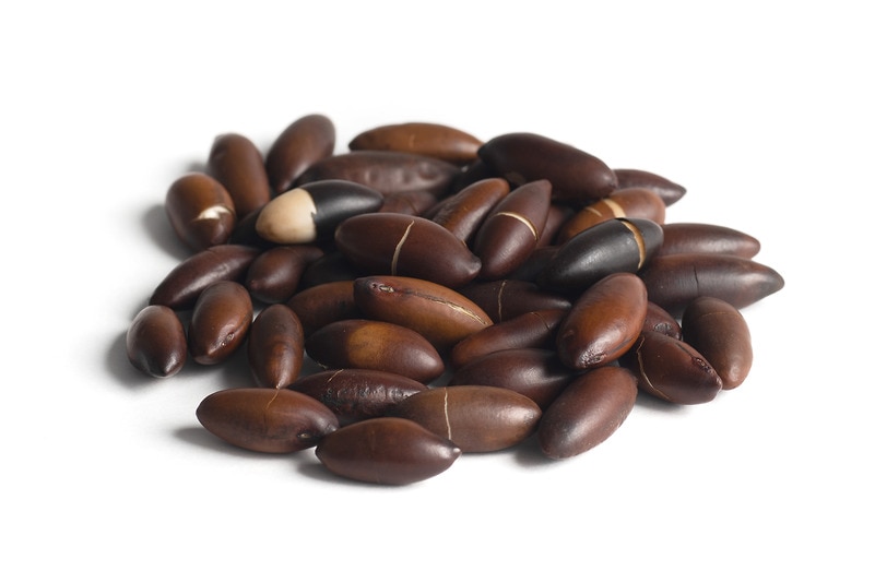 Roasted Baru Nuts (Unsalted)