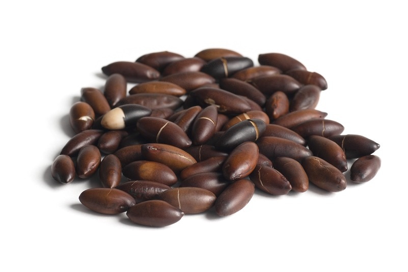 Roasted Baru Nuts (Salted)