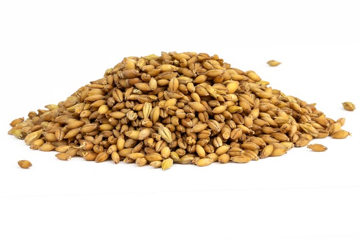 Spelt Seed